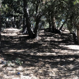 Thousand Trails Idyllwild - Idyllwild, California - RV LIFE Campground ...